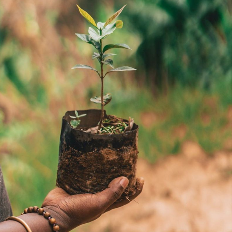 Creed™ Australia | Official Australian Creed Perfume Store | Creed ...